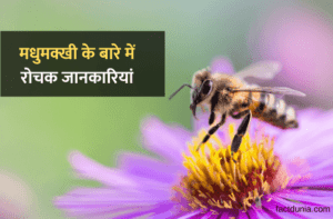 मधुमक्खी के बारे में 30 रोचक जानकारी - About Honey Bee in Hindi